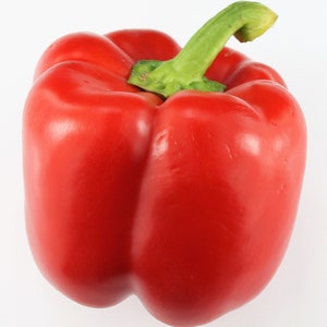 20 Organic Red MINI BELL PEPPER Sweet Mild Miniature Capsicum Annuum ...