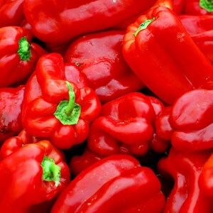 150 BIG RED Bell PEPPER Sweet Capsicum Annuum Vegetable Seeds comb Ship ...