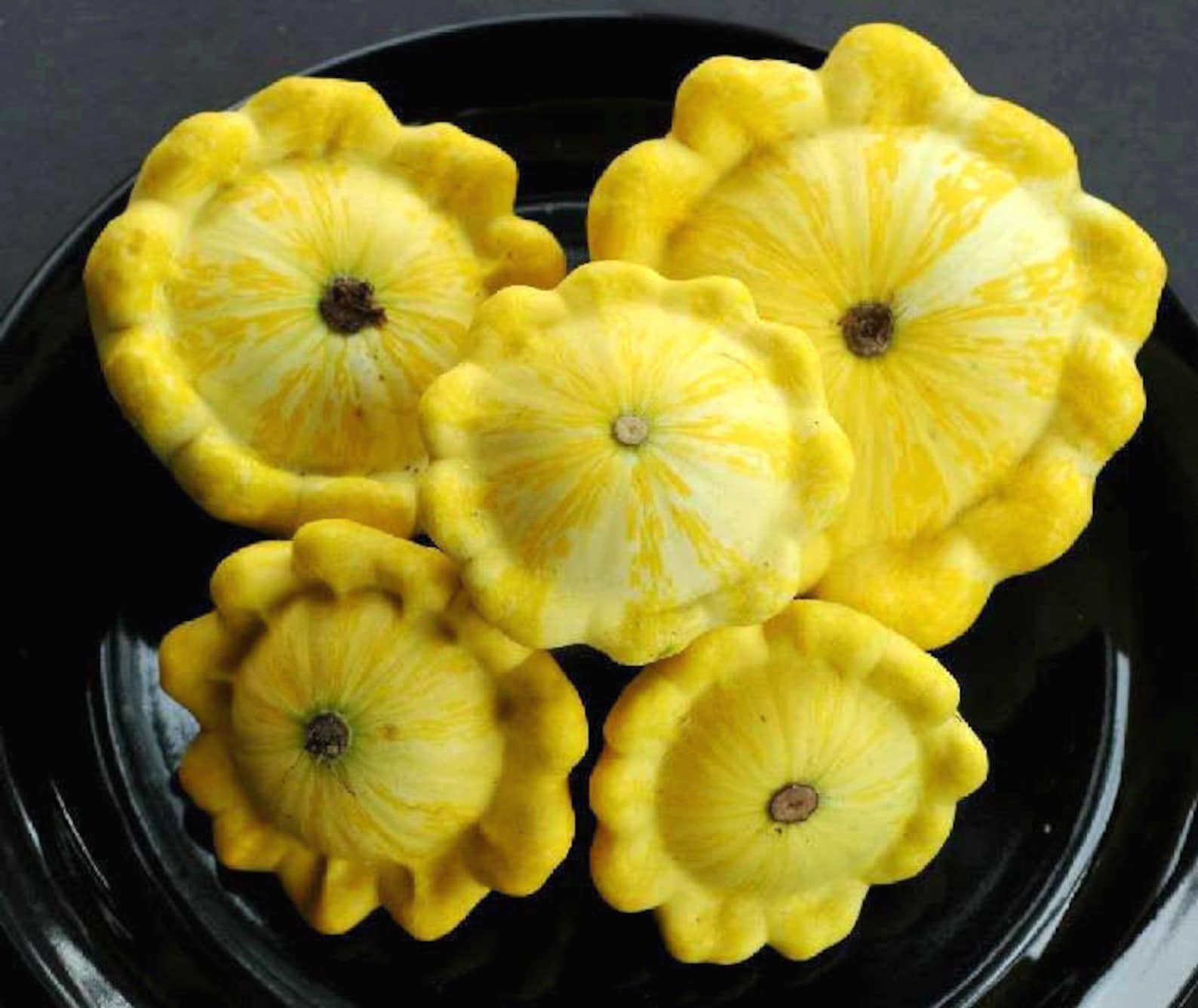 10 Golden YELLOW Bush SCALLOP SQUASH patty Pan / Paty Pan / | Etsy