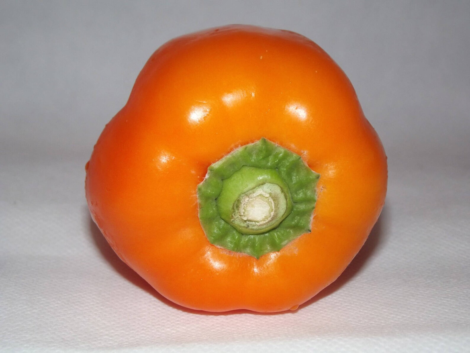 100 ORANGE King BELL PEPPER Sweet Capsicum Annuum Vegetable - Etsy