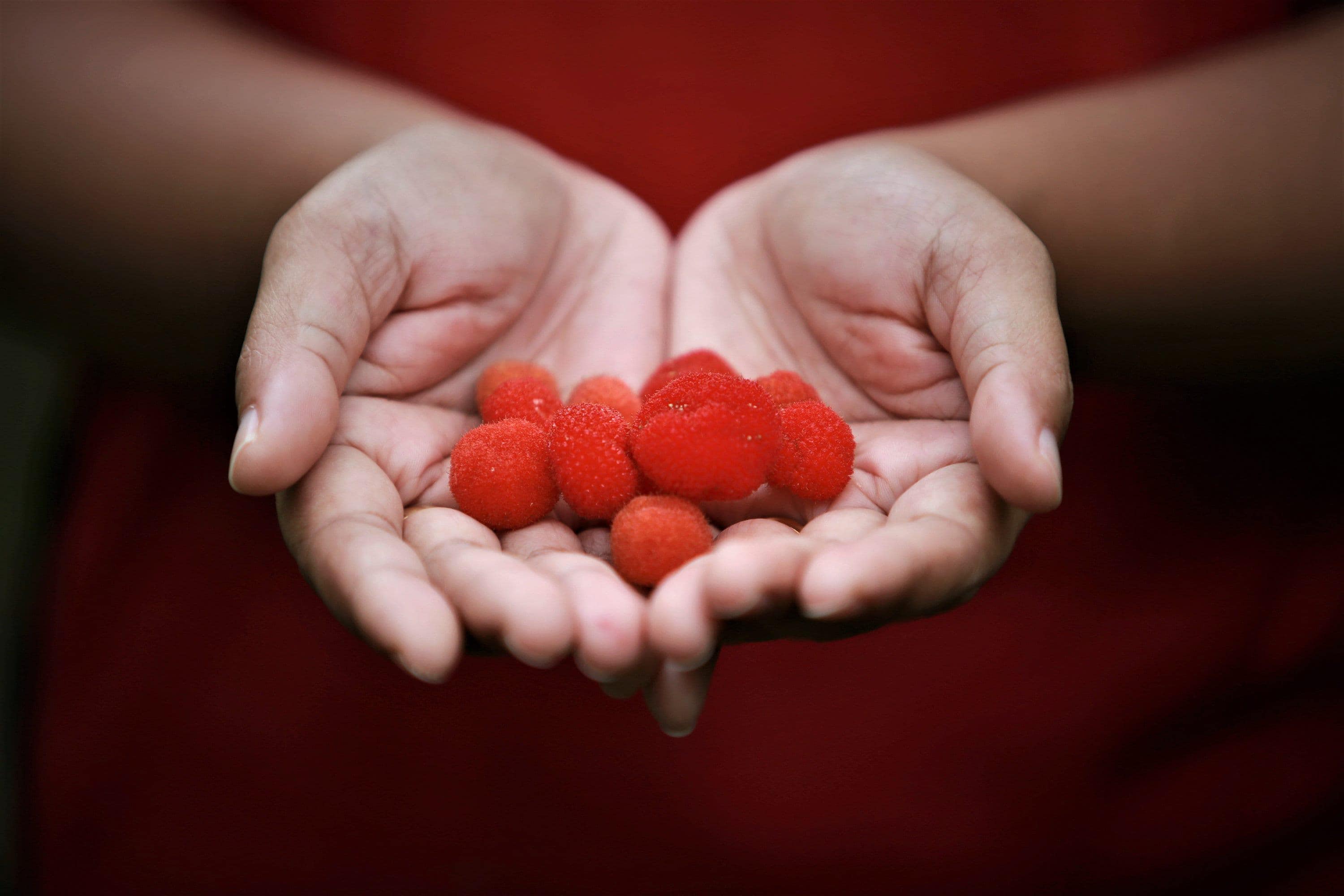 20 AUSTRALIAN RASPBERRY Aka Queensland & Atherton Raspberry Rubus ...