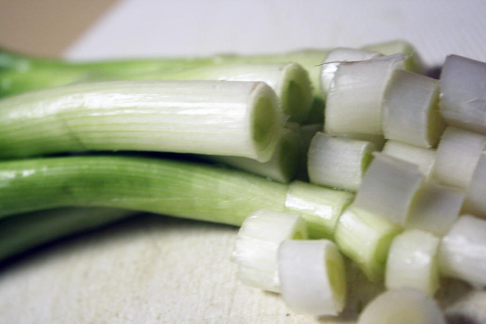 300 Evergreen NEBUKA BUNCHING ONION Japanese Allium Fistulosum - Etsy