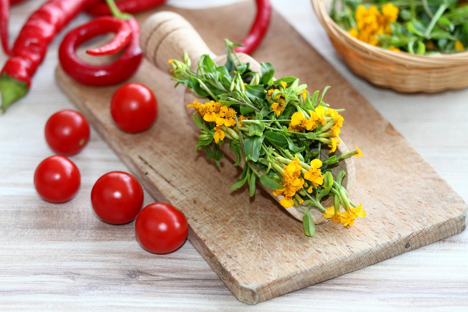 300 MEXICAN Mint MARIGOLD Spanish Tarragon Tagetes Lucida Flower Herb ...