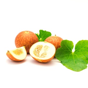 15 TIGGER / TIGER MELON Edible Muskmelon & Ornamental Vine Cucumis Melo ...