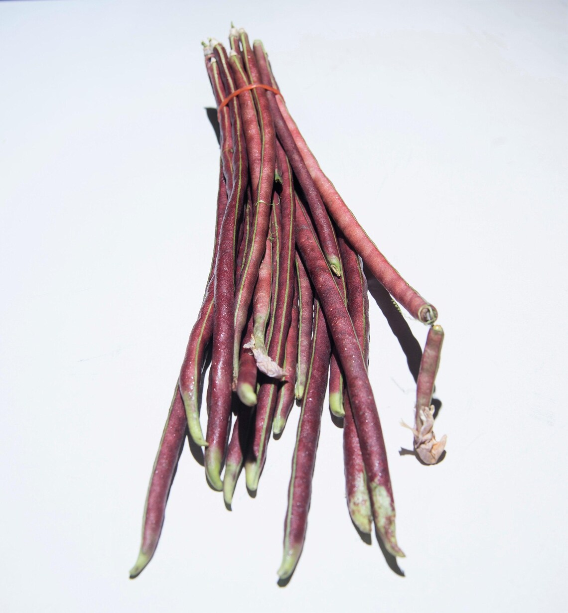 100 RED RIPPER COWPEA Cow Pea Southern Pea Vigna Unguiculata Legume ...