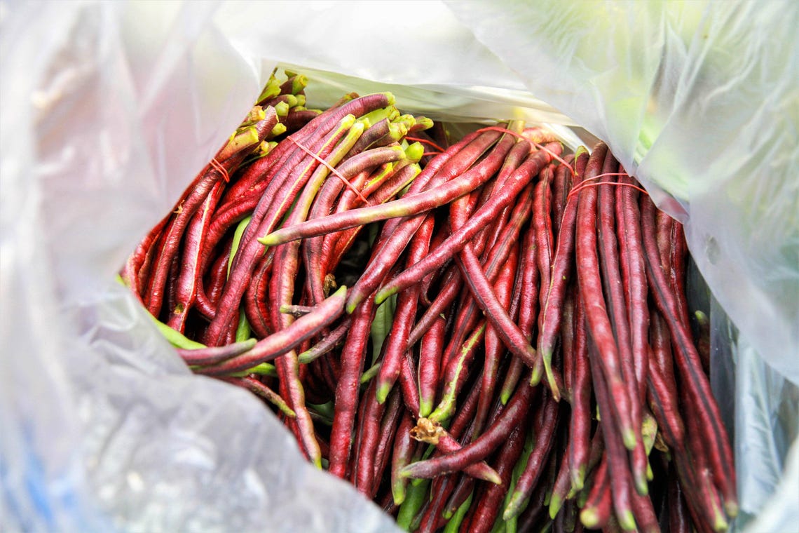 100 RED RIPPER COWPEA Cow Pea Southern Pea Vigna Unguiculata Legume ...