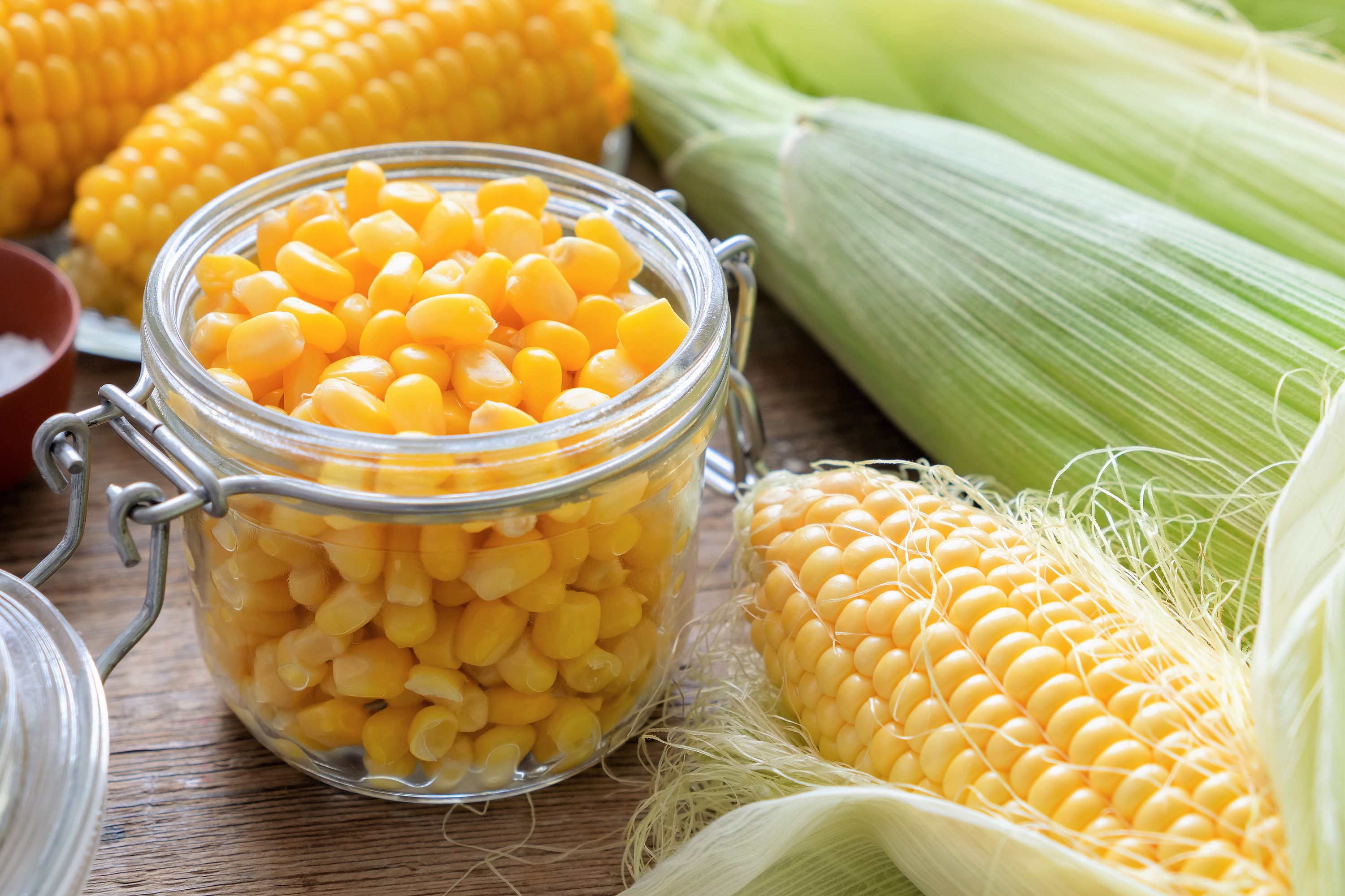 50 HONEY SELECT CORN Sweet Yellow S.E. Sh2 Zea Mays Vegetable - Etsy