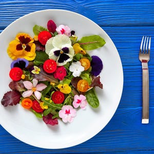 EDIBLE FLOWER MIX Seeds - 16 Types: Marigold Daisy Viola Safflower ...