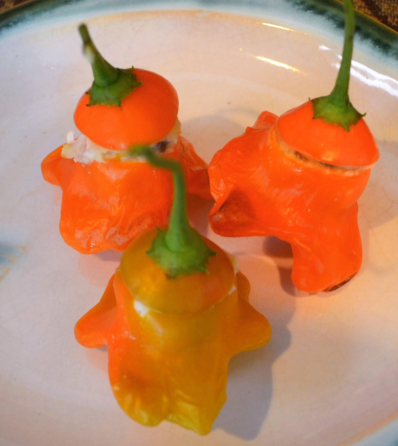 40 Orange SCOTCH BONNET PEPPER Very Hot Jamaican Capsicum - Etsy Sweden