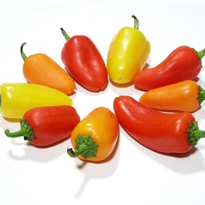 200 SANTA Fe GRANDE PEPPER (guero Chili Pepper / Yellow Hot Chili ...