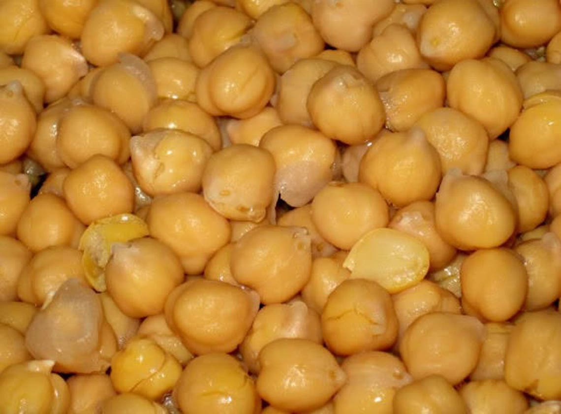 15 CHICK PEA / Garbanzo BEAN Chickpea Cicer Arientum Vegetable | Etsy