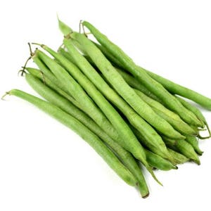 50 BURPEE STRINGLESS Green Pod BEAN French Phaseolus Vulgaris Vegetable ...
