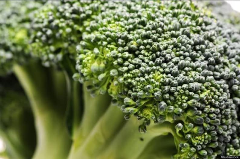 1000 Organic DE CICCO BROCCOLI Di Cicco Brassica Oleracea | Etsy