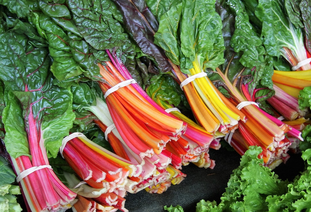 150 RAINBOW Mix SWISS CHARD Mixed Colors Beta Vulgaris Vegetable Seeds ...