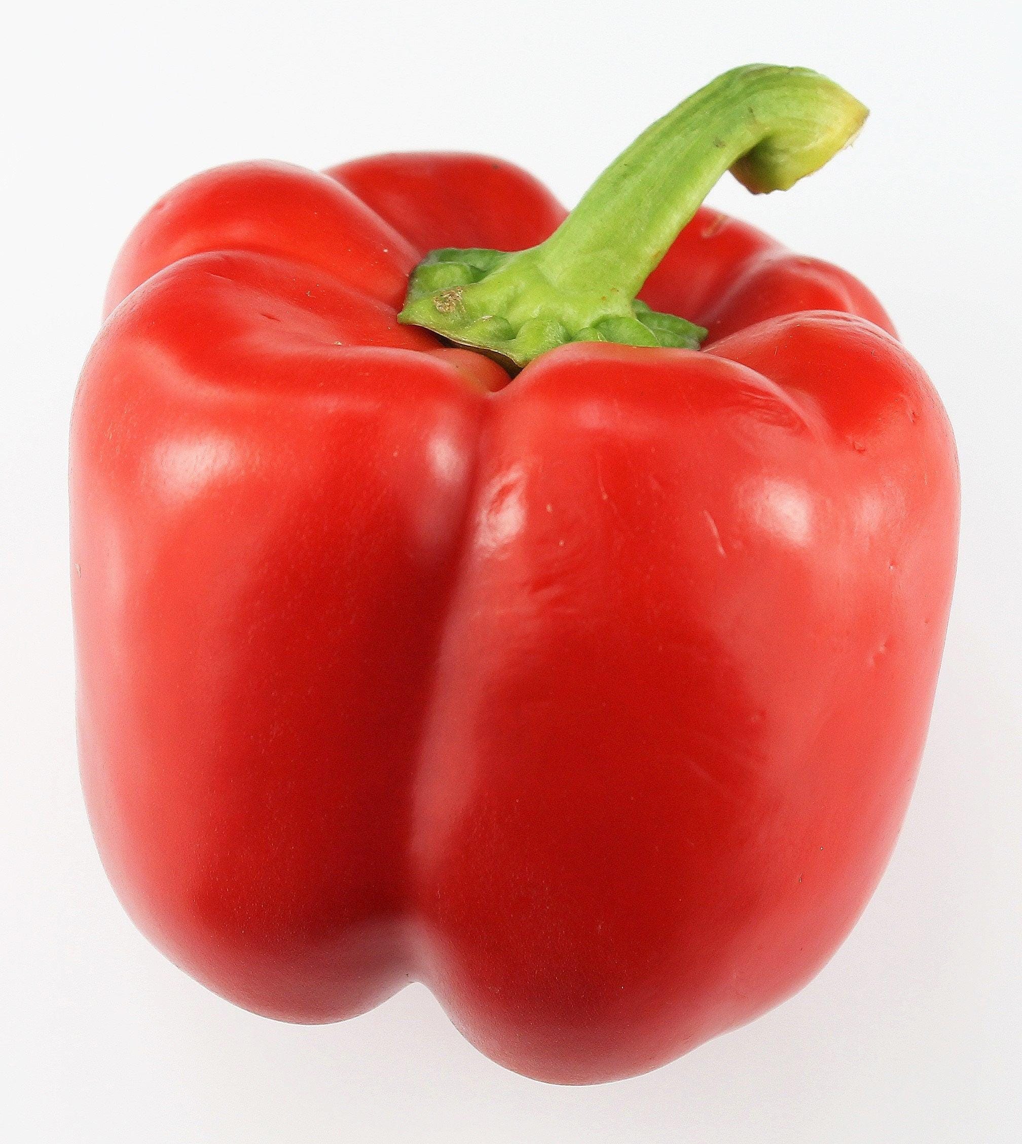 20 Organic Red MINI BELL PEPPER Sweet Mild Miniature Capsicum Annuum ...