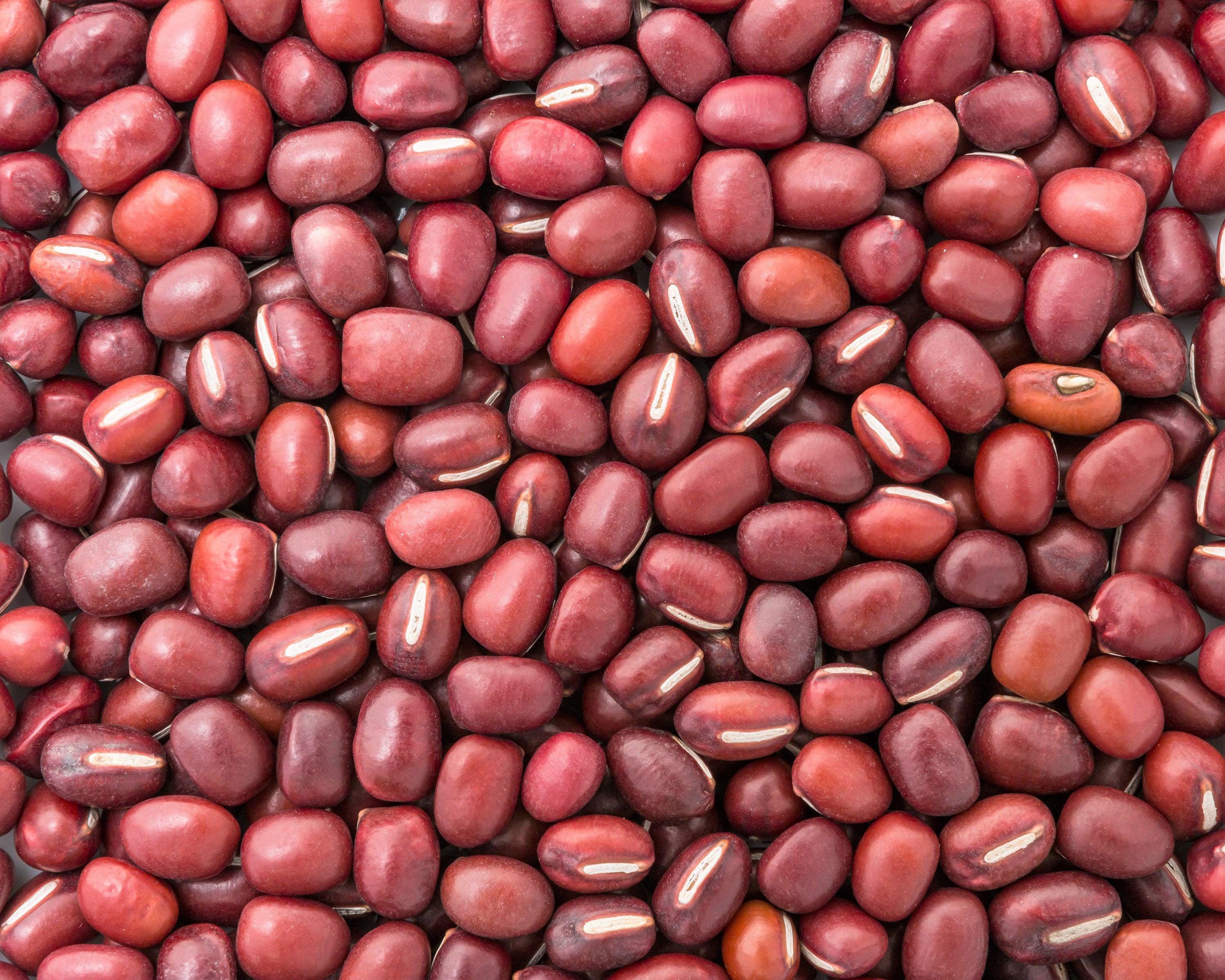 100 RED RIPPER COWPEA Cow Pea Southern Pea Vigna Unguiculata Legume ...