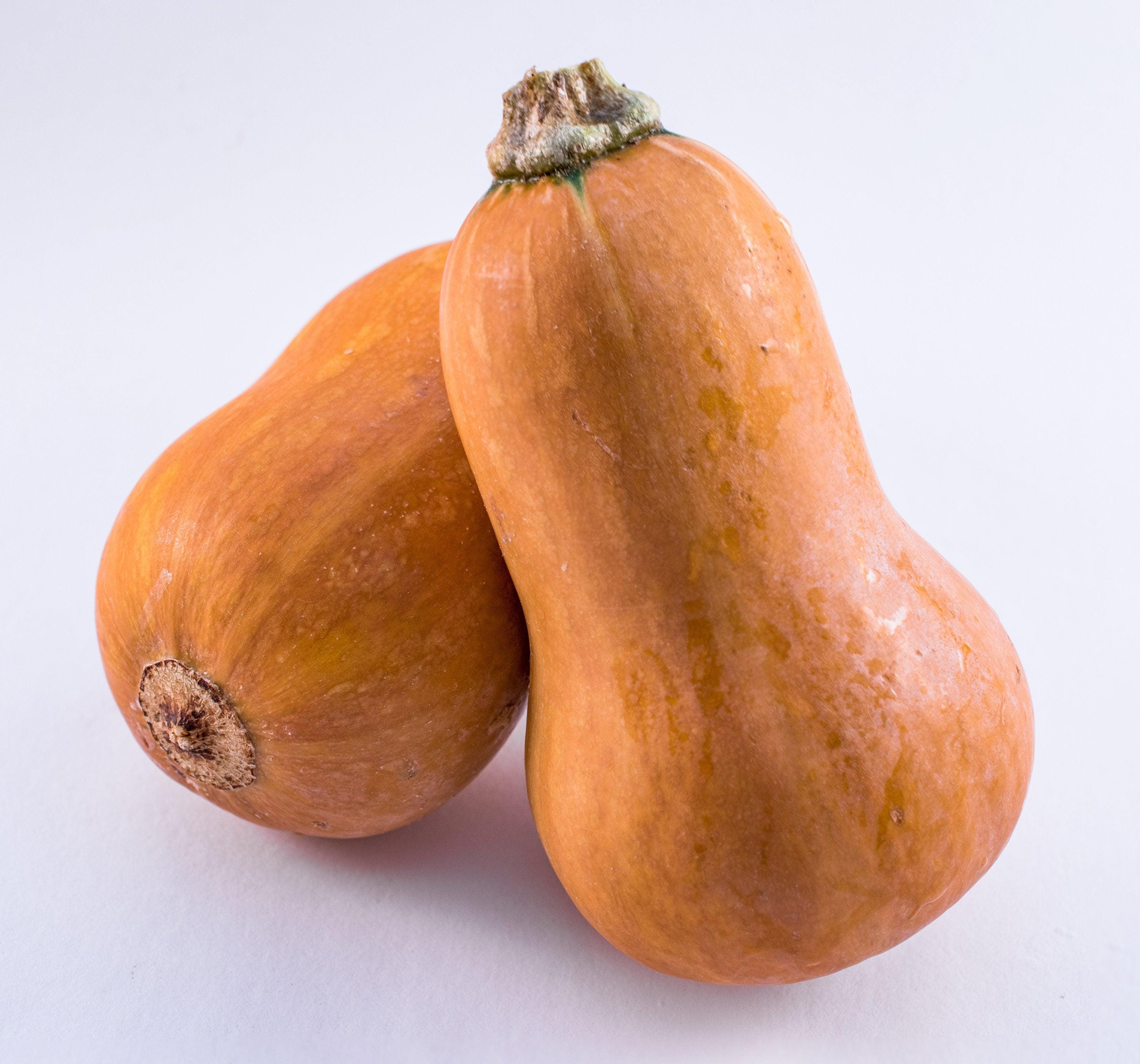 25 Organic HONEYNUT SQUASH Aka Honey Butternut Squash Sweet Cucurbita ...