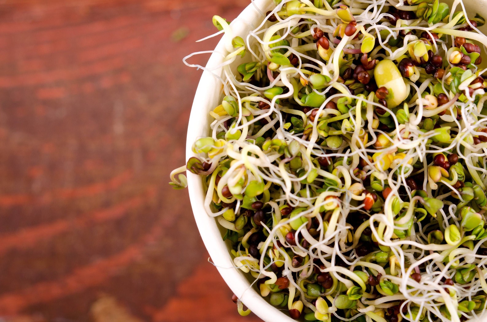 ORGANIC SPROUTING MIX - Peas, Mung and Adzuki Beans, Green, French ...