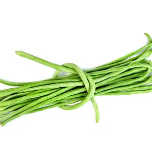 100 LADY COWPEA Cow Pea Southern Pea Vigna Unguiculata Legume White ...