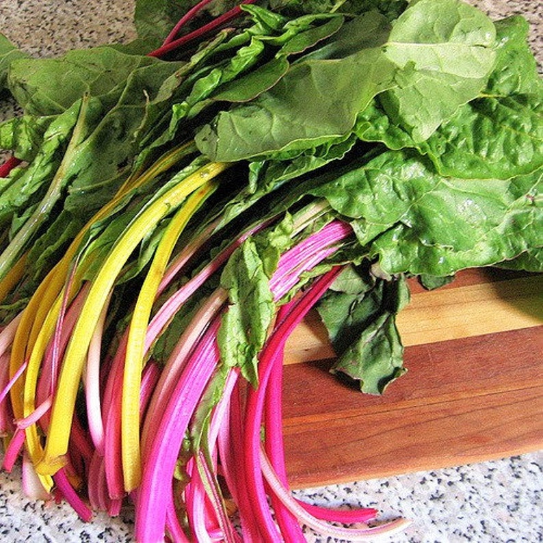 150 RAINBOW Mix SWISS CHARD Mixed Colors Beta Vulgaris - Etsy