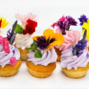 EDIBLE FLOWER MIX Seeds 16 Types: Marigold Daisy Viola Safflower ...