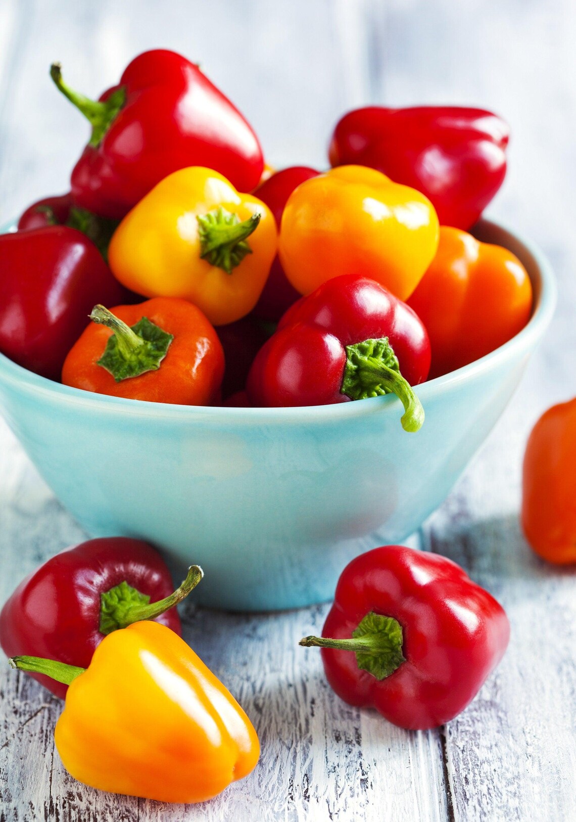 20 Organic Red MINI BELL PEPPER Sweet Mild Miniature Capsicum Annuum ...