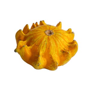 25 TEN COMMANDMENTS GOURD Mix Crown of Thorns Mixed Colors Cucurbita ...