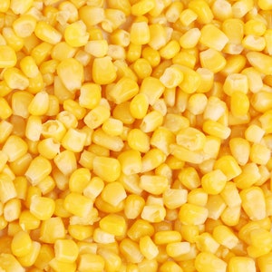 50 KANDY KORN CORN Sweet Yellow Corn Red Husk H.S.E. Zea Mays Vegetable ...
