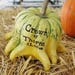 25 TEN COMMANDMENTS GOURD Mix Crown of Thorns Mixed Colors Cucurbita ...