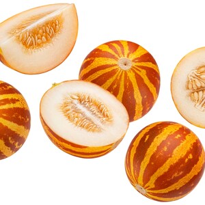 15 TIGGER / TIGER MELON Edible Muskmelon & Ornamental Vine Cucumis Melo ...