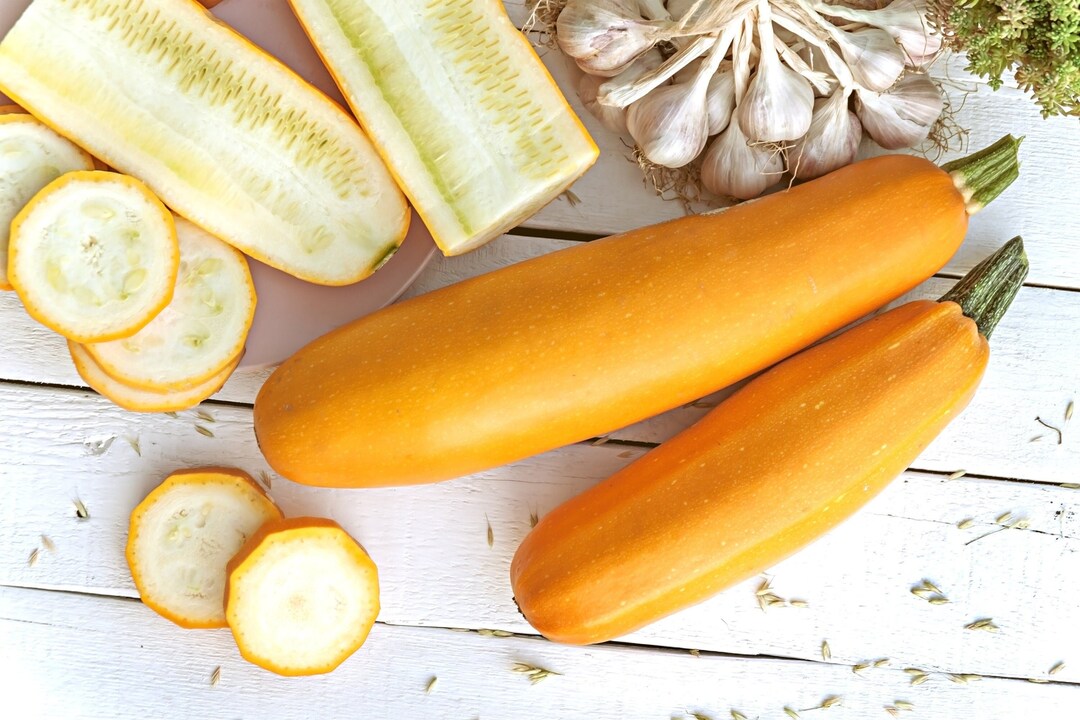 50 GOLDEN ZUCCHINI Heirloom Summer Bush Squash Cucurbita Pepo Yellow ...