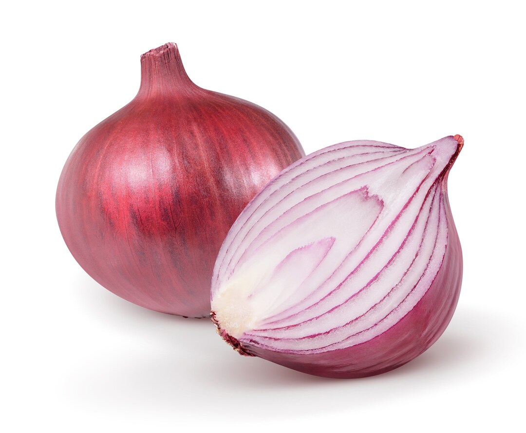 250 RED BURGUNDY ONION Allium Cepa Vegetable Seeds - Etsy