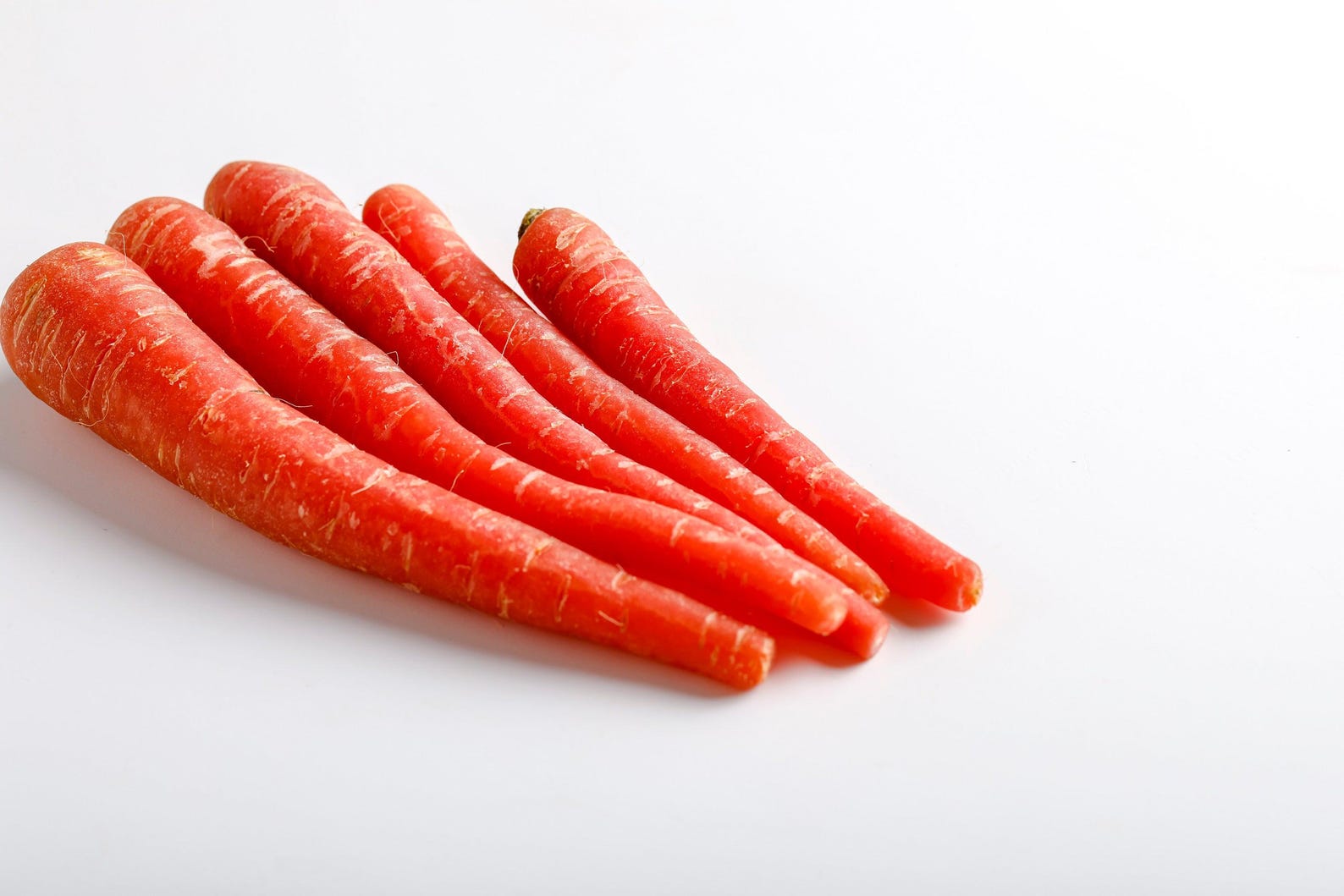 400 ATOMIC RED CARROT Daucus Carota Vegetable Seeds *comb S/H - Etsy