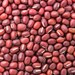 100 RED RIPPER COWPEA Cow Pea Southern Pea Vigna Unguiculata Legume ...