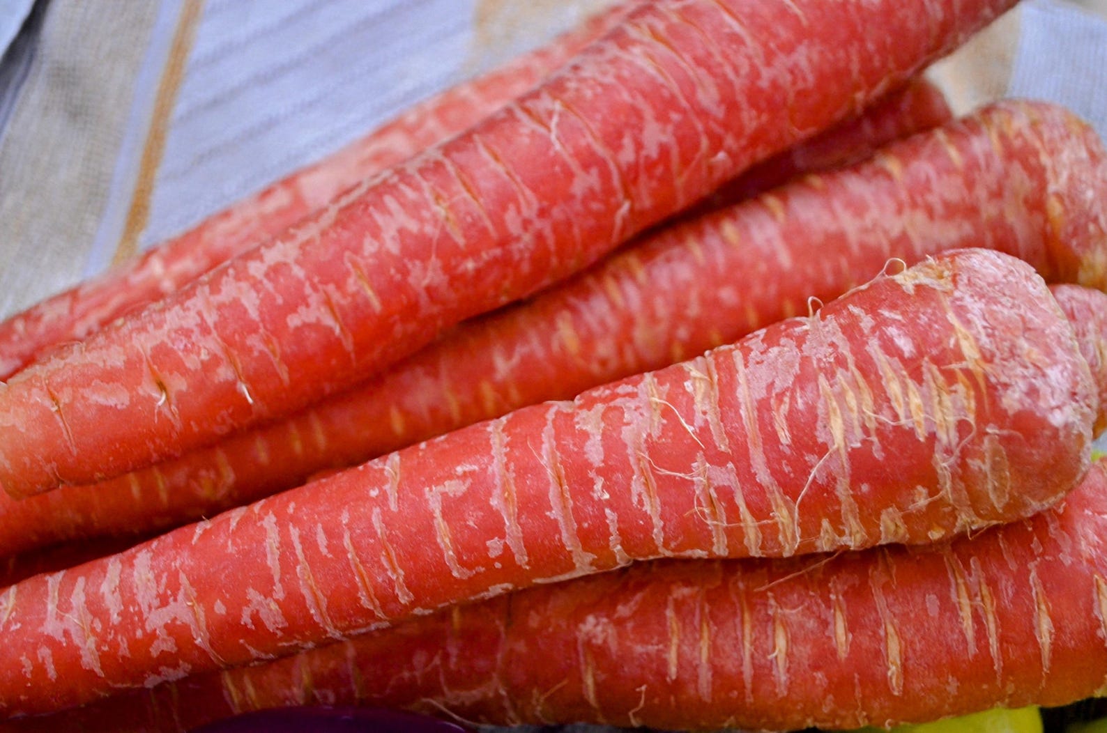 400 ATOMIC RED CARROT Daucus Carota Vegetable Seeds *comb S/H - Etsy