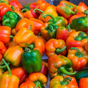 100 ORANGE King BELL PEPPER Sweet Capsicum Annuum Vegetable Seeds - Etsy