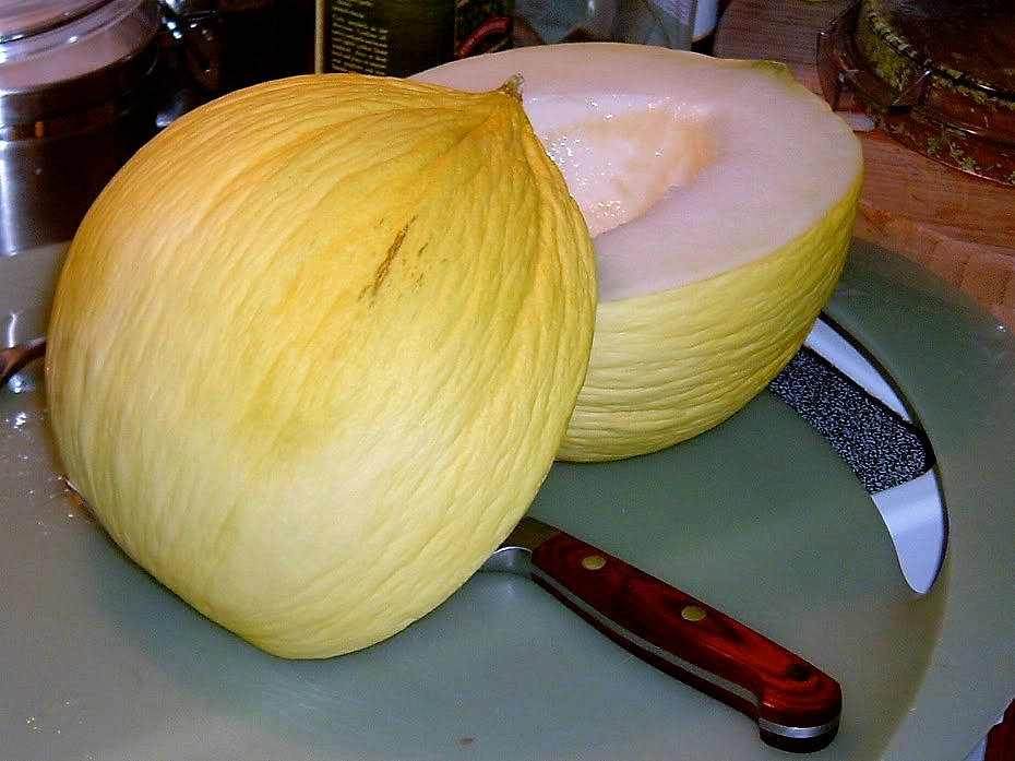 Seeds & Seed Bombs Home & Living Casaba Melon Cucumis melo var inodorus ...