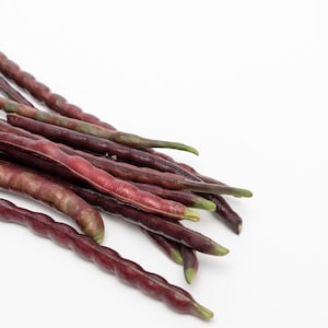 100 RED RIPPER COWPEA Cow Pea Southern Pea Vigna Unguiculata Legume ...