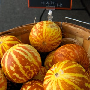 15 TIGGER / TIGER MELON Edible Muskmelon & Ornamental Vine Cucumis Melo ...