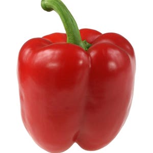 150 BIG RED Bell PEPPER Sweet Capsicum Annuum Vegetable Seeds comb Ship ...
