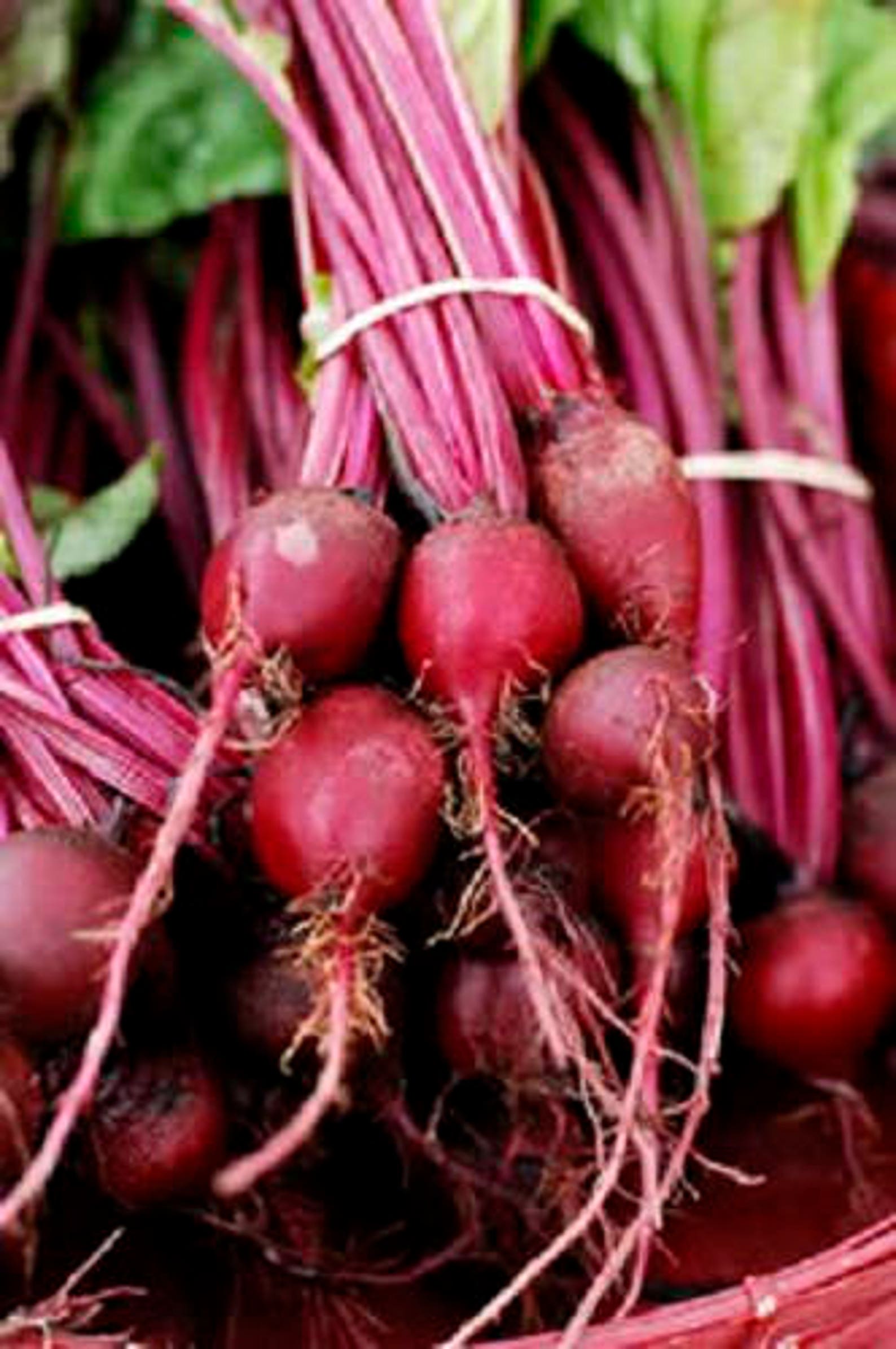 250 EARLY WONDER BEET Beta Vulgaris Vegetable Seeds | Etsy