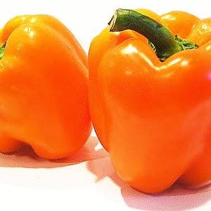 100 ORANGE King BELL PEPPER Sweet Capsicum Annuum Vegetable Seeds - Etsy