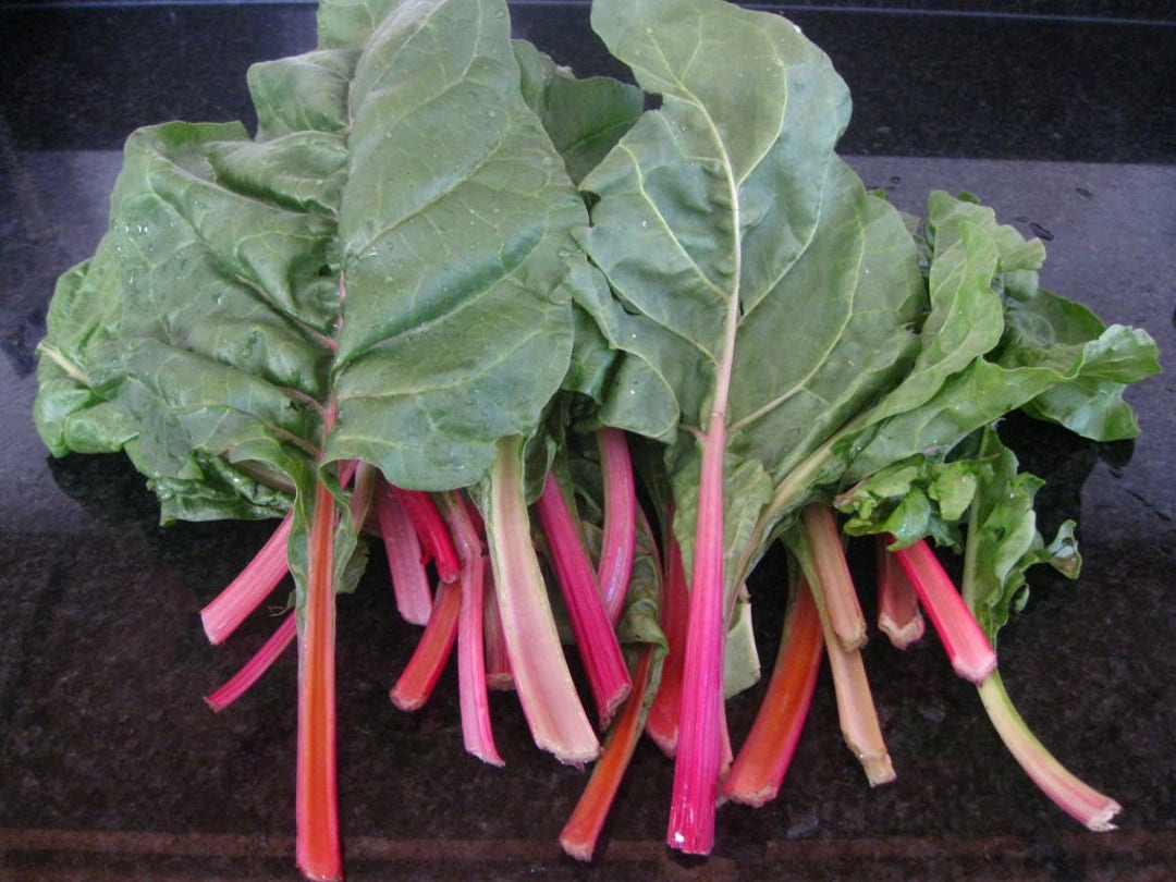 40 Pink LIPSTICK SWISS CHARD Vegetable Seeds Perpetual Spinach Beta ...
