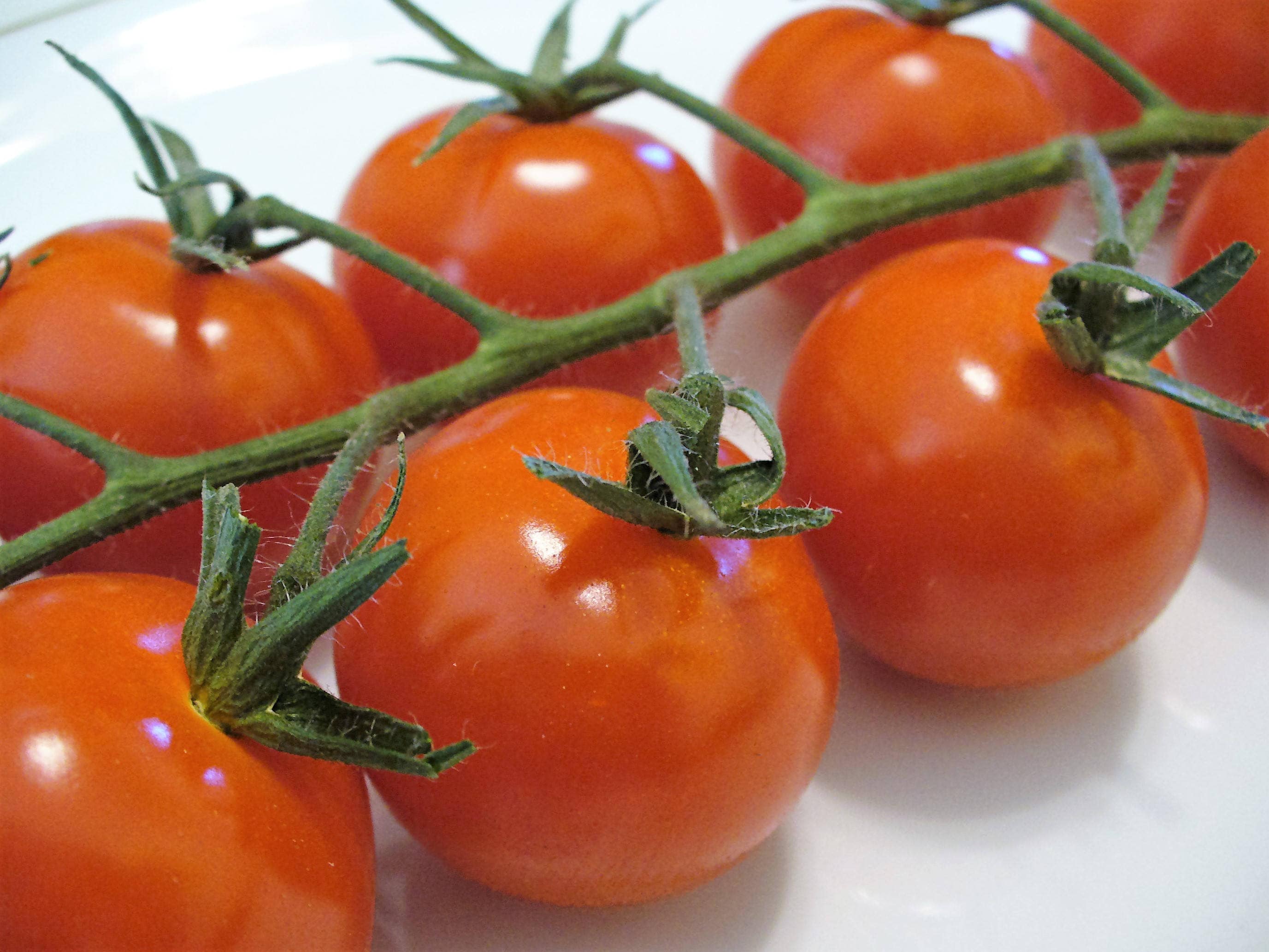 100 Red SWEETIE CHERRY TOMATO Super Sweet 1 Lycopersicon | Etsy