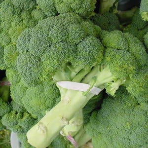 1000 CALABRESE BROCCOLI ITALIAN Green Sprouting Vegetable Brassica ...