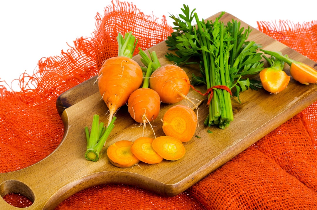 800 PARISIAN CARROT Parisienne Carrot Daucas Carota Sativus Orange ...