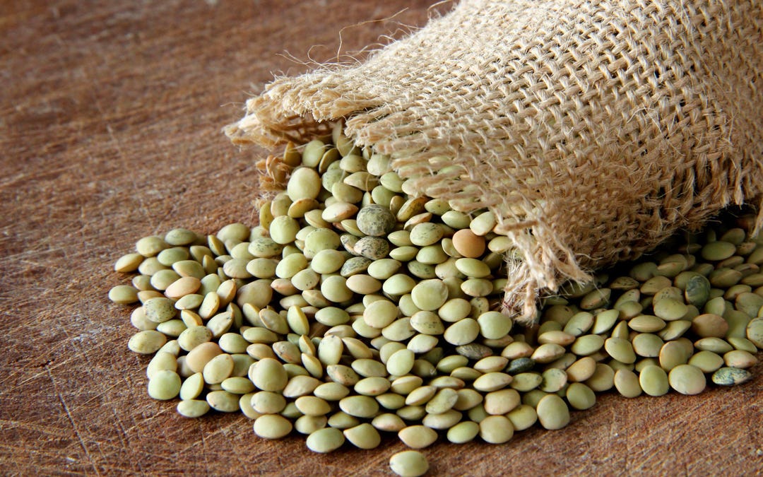 100 GREEN LENTIL Lentils Lens Culinaris Vegetable Seeds - Etsy