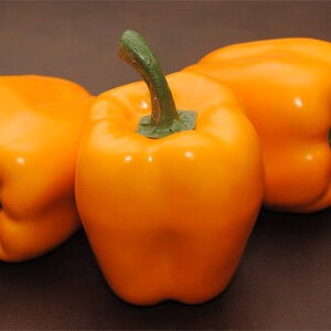 100 ORANGE King BELL PEPPER Sweet Capsicum Annuum Vegetable Seeds - Etsy