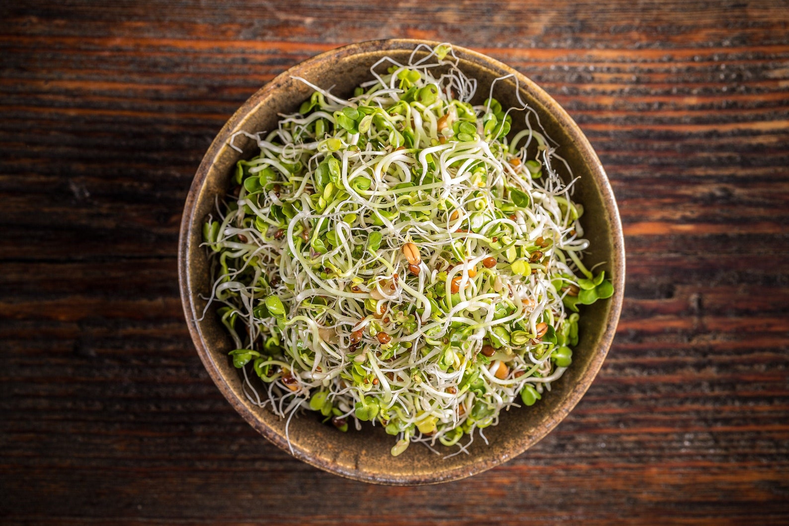 ORGANIC SPROUTING MIX - Peas, Mung and Adzuki Beans, Green, French ...