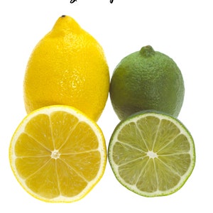 15 KEY LIME Citrus Aurantifolia Fruit Tree Shrub Seeds - Etsy